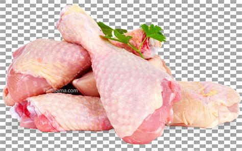 عکس دوربری ران مرغ