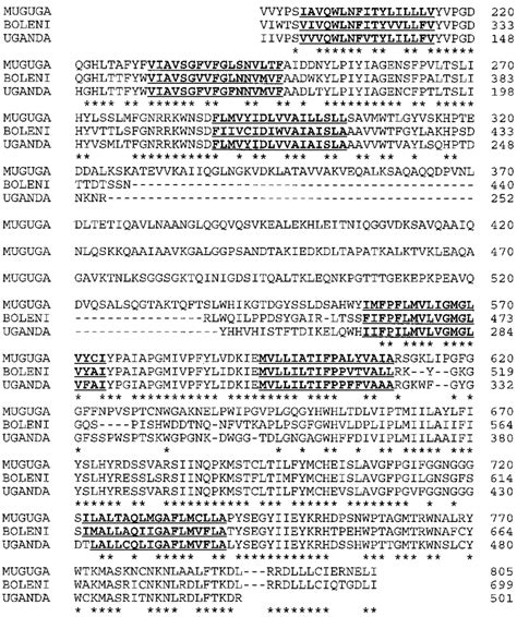 Transmembrane Segments Located In The Conserved C Terminal Regions Of Download Scientific