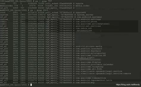 android 9 p zygote进程启动源码分析指南一 zygisk 源码分析 csdn博客