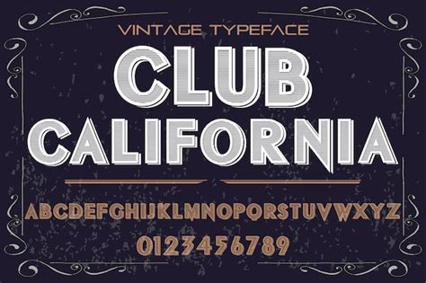 premium vector script handwritten typeface