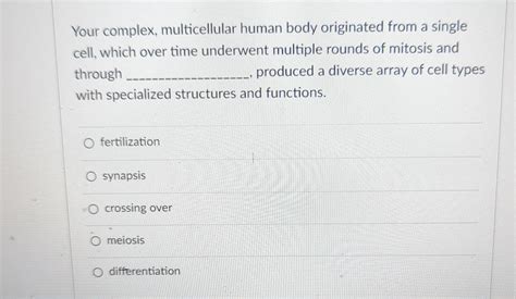 Solved Your Complex Multicellular Human Body Originated