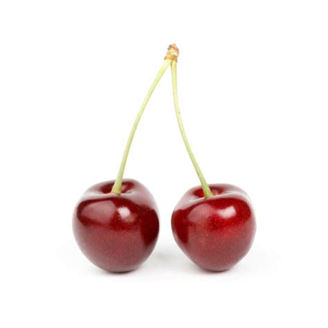 25700개 이상의 Cherry Stem 스톡 사진 그림 및 Royalty Free 이미지 Istock