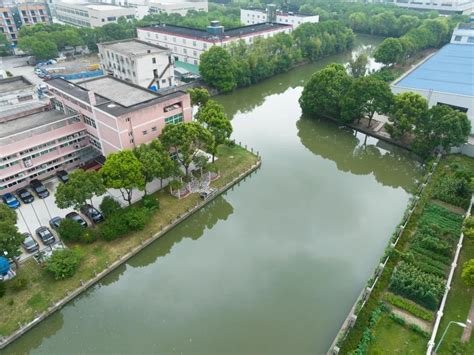 水环境治理见成效，青浦香花桥这些河道换新颜！