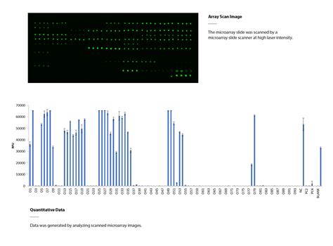 O Glycan Array Zbiotech