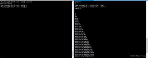 进程间通信，systemv共享内存 csdn博客
