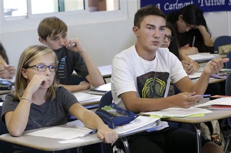 High School Sex Education Programs Telegraph