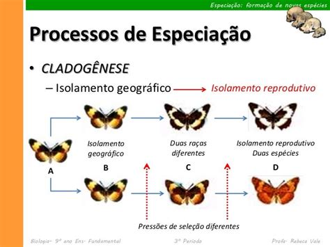 Iv 1 Formação De Novas Espécies