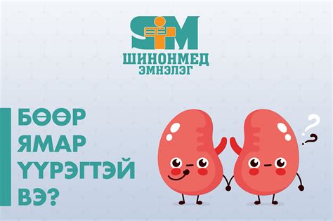 БӨӨР ЯМАР ҮҮРЭГТЭЙ ВЭ Бөөр биеэс Шинонмед Эмнэлэг
