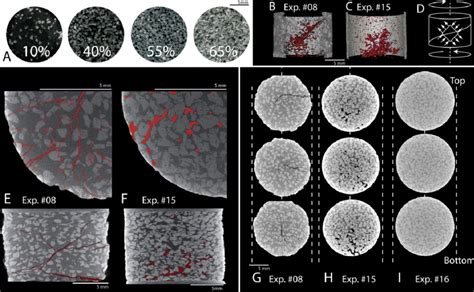 A Visualization Of The Samples Before Deformation D Expected