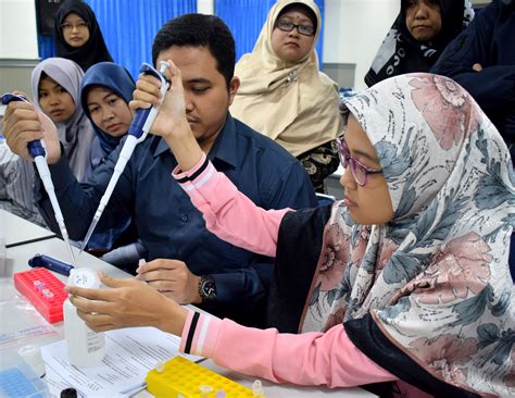 laboratorium aps selenggarakan workshop real time pcr and it s