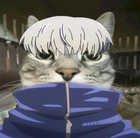 Cute Jujutsu Kaisen Cat Icon Filtro De Perrito Gato Gracioso Te Amo