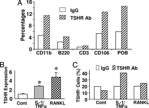Tshr Expression In Primary Macrophages And Its Increase By Cytokines