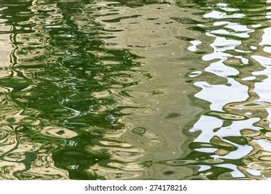 72 689 Pond Ripples Images Stock Photos Vectors Shutterstock