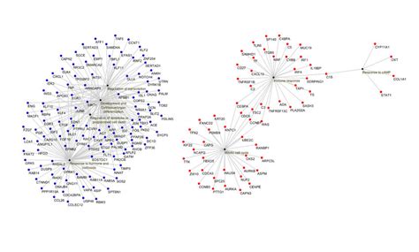 Enriched Functional Go Terms Groups Obtained With Fatigo Babelomics Download Scientific