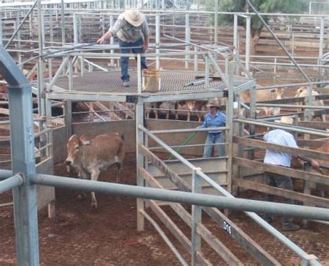 Observation Of End Users Identifying Latent Needs Download Scientific Diagram