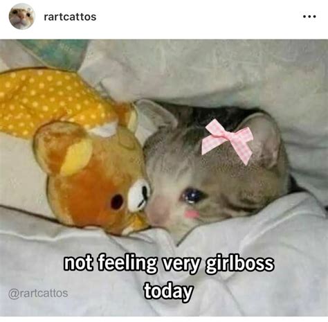 101 Good Night Memes For When You Want Funny Goodnight Wishes Artofit