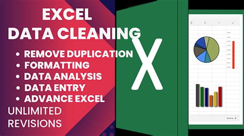 excel data cleaning formatting remove duplicates by dilshadahmed9