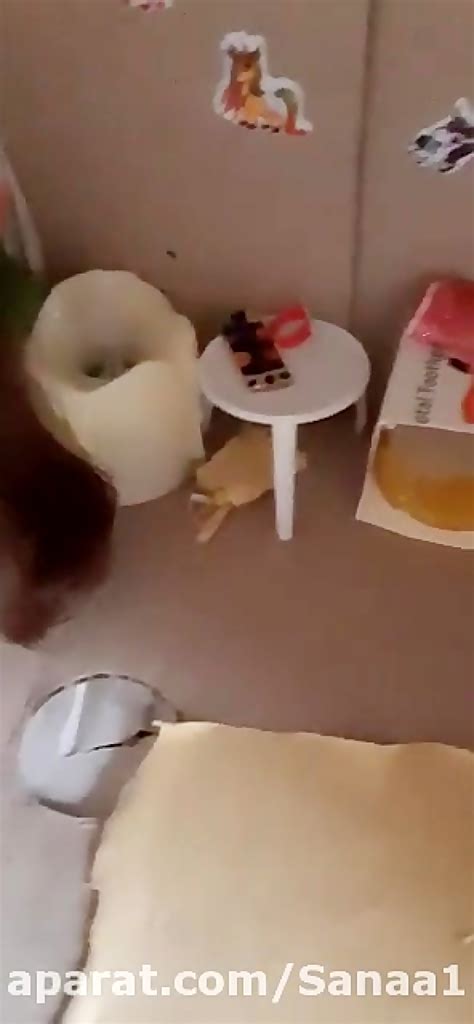 معرفی خانه باربی من قسمت دوم