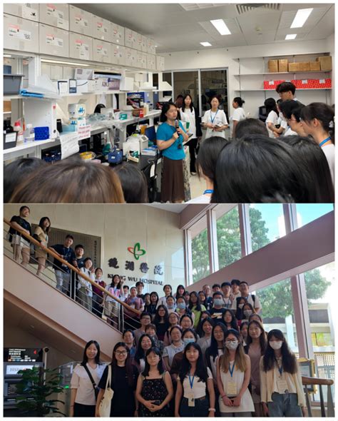 护理学院本科生赴澳门大学“医药与健康科学专题”线下研学项目圆满完成 南华大学本科教育教学评建网