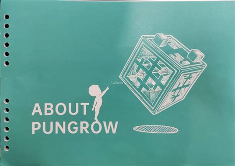 Pungrow Stack Space