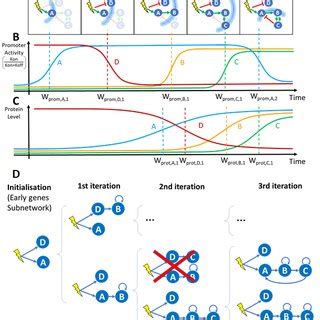PDF WASABI A Dynamic Iterative Framework For Gene Regulatory Network Inference