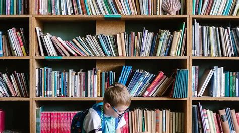 Kerala Set January 2024 Exam Date Confirmed Check Admit Card Date Getmyuni