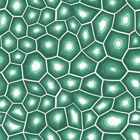 Sea Turtle Shell Texture