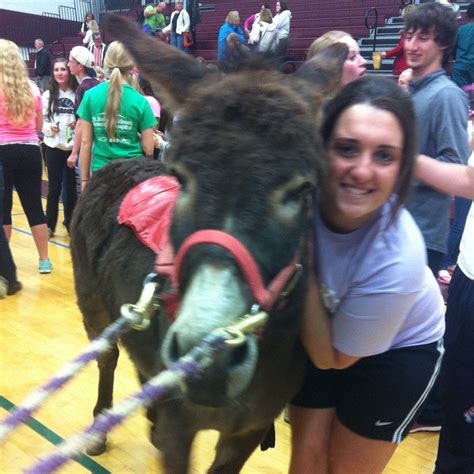 About Allison Buck Medium