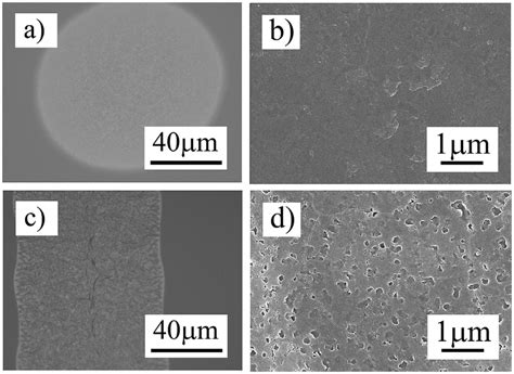 Optical Microscopy Images A And C And The Sem Micrographs B And D Download Scientific