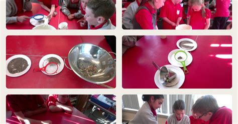Year 5 Science Sieving Darwen St James C Of E Primary Academy