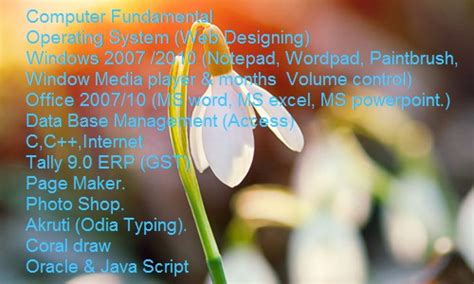 Home Semiotic Computer