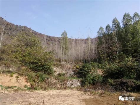 《奉献之歌》—中华雷氏联谱建祠纪实【雷氏资讯总第151期】