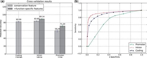 the bar plot on the left shows the 10 fold cross validation accuracies