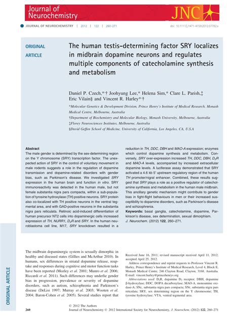 Pdf The Human Testis Determining Factor Sry Localizes In Midbrain