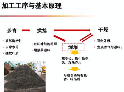 黑茶 各个地区的黑茶都有什么样的加工工艺 知乎