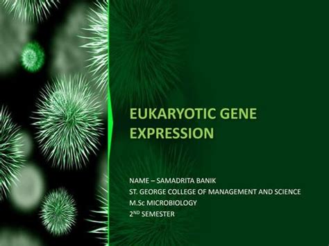 23 gene expression regulation pdf