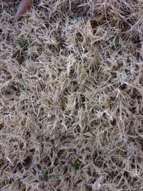 I Am Trying To Get A Good Yard Care Plan And To Start I Need To Know