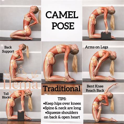 Hema 🌷🙏🌷camel Pose Ustrasana Benefits Are • Opens Chest And