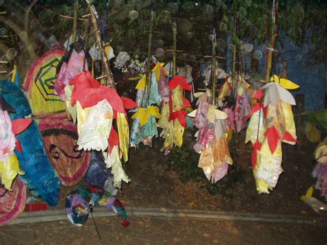 Creative Spirit What Is Tree Dressing