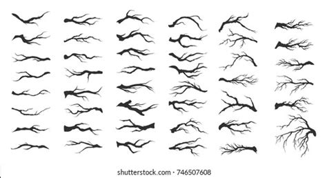 Tree Branch Clip Art