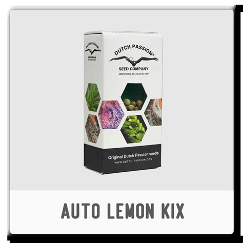 Auto Lemon Kix Stonersbay