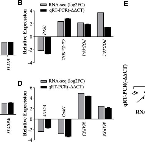A D Validation Of Rna Seq Results Using Quantitative Real Time Pcr