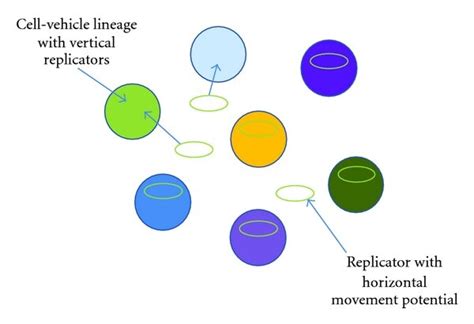 Replicators With Horizontal Movement Potential Can Become Common In