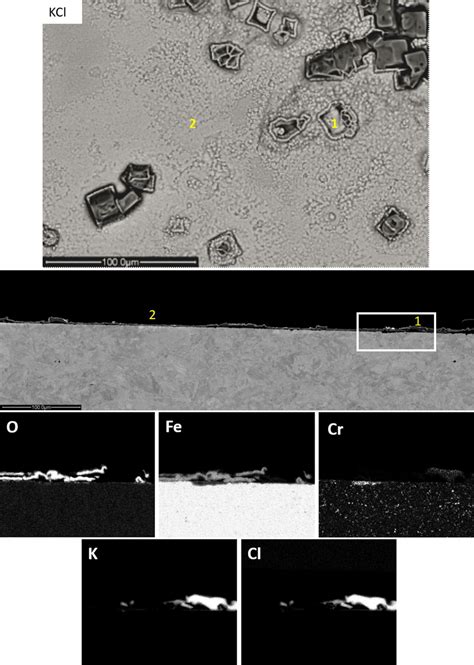 Plan View Sem Bse And Cross Sectional Sem Edx Analysis Of Fe 2 25cr 1mo