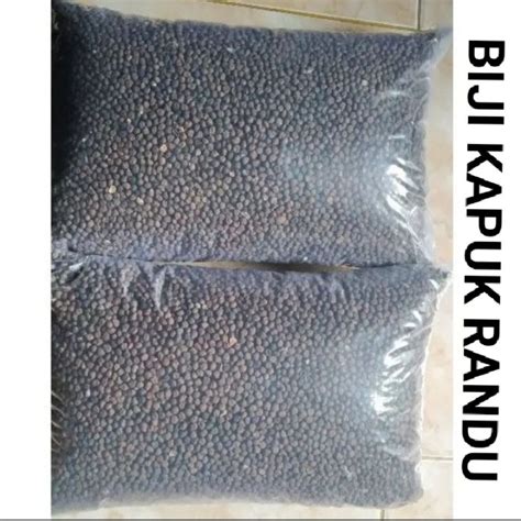 Jual Biji Kapuk Randu 1kg Biji Klenteng Randu Madura Kualitas Pilihan