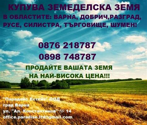 Купува земя в област Разград Най добрите цени за Вашите земи