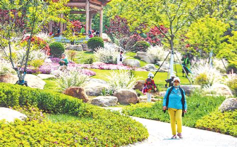 青岛：50万株乡土树种“回归”，公园城市“增绿”又“添彩” 青报网 青岛日报官网