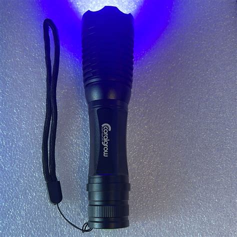 Coral Grow Light Torch Reef Secrets