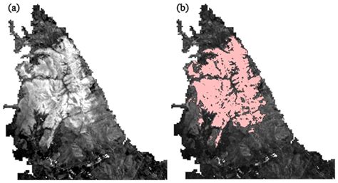 Estimation Of Forest Fire Burned Area By Distinguishing Non Photosynthetic And Photosynthetic