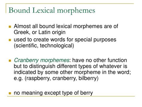 Ppt Chapter 3 Lexical And Grammatical Morphology Powerpoint